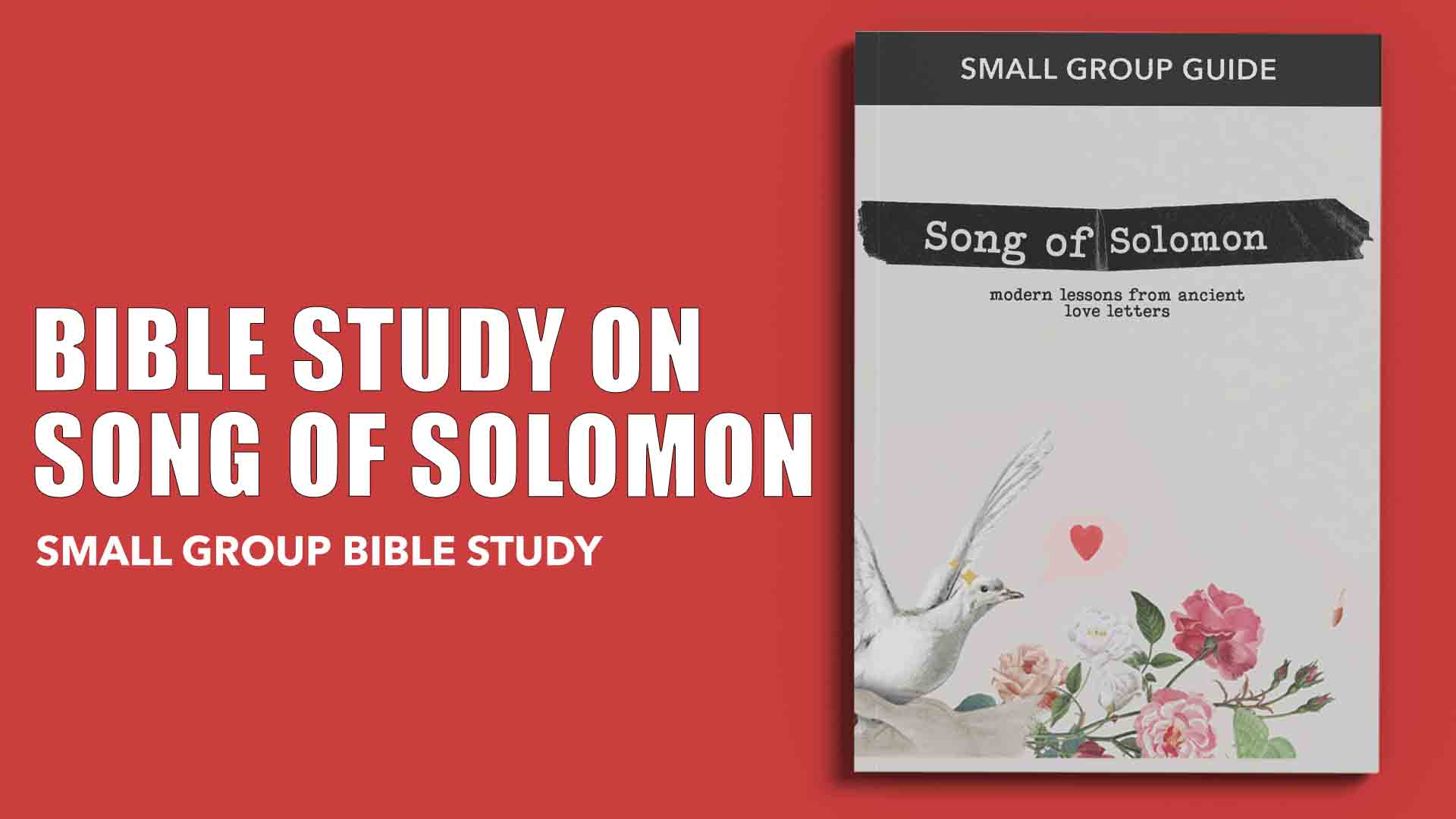 Song of Solomon Bible Study - For Ministry Resources